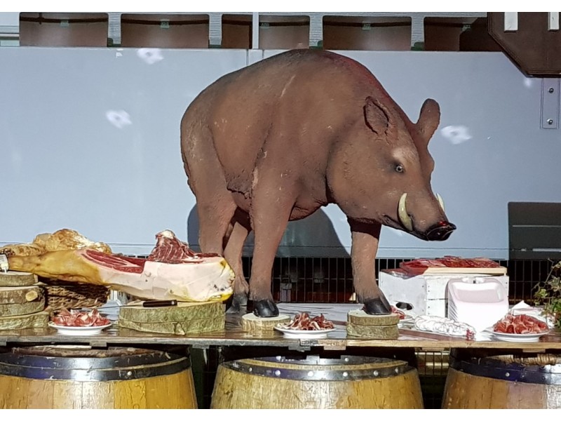 Naos Location loue Sanglier en résine pour décor à thème Celtique...