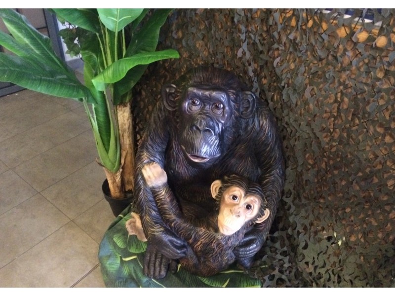 Location personnage résine Chimpanzé avec son petit pour décor Jungle