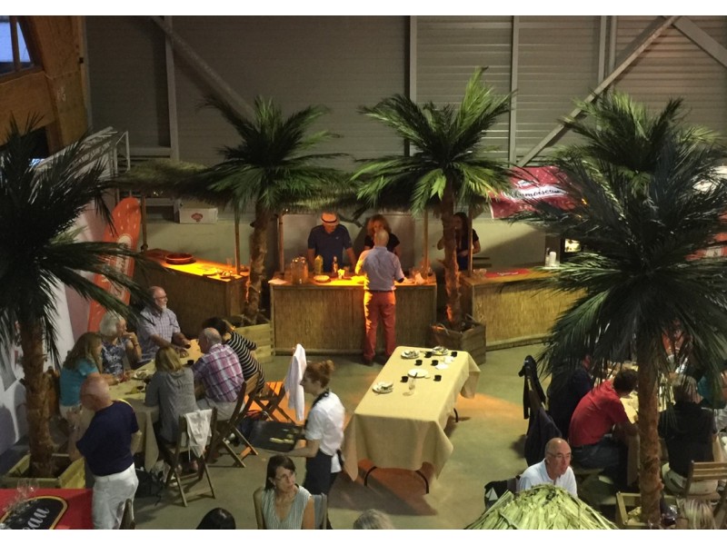 Naos location loue paillotte avec toit chaume pour décor à thème ...