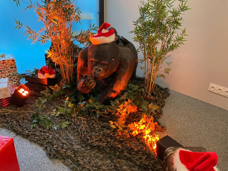 Location de gorille avec bébé - Décor pour thématiques jungle et nature ...
