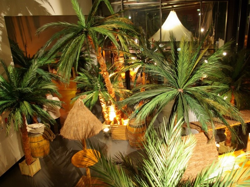 Naos location loue palmier artificiel de 2m pour décor a thème exotiqu