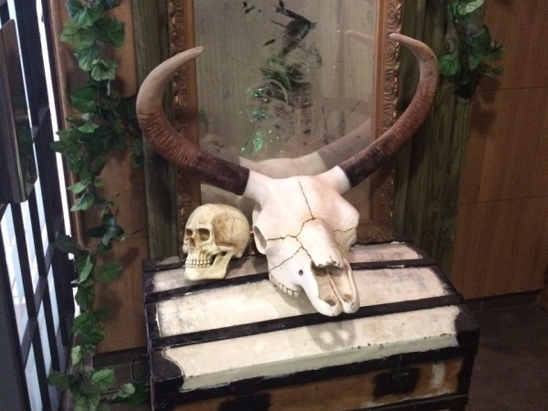 Naos location loue crâne longues cornes pour décor à thème Far West.